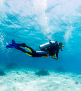 Home - San Francisco SCUBA Schools